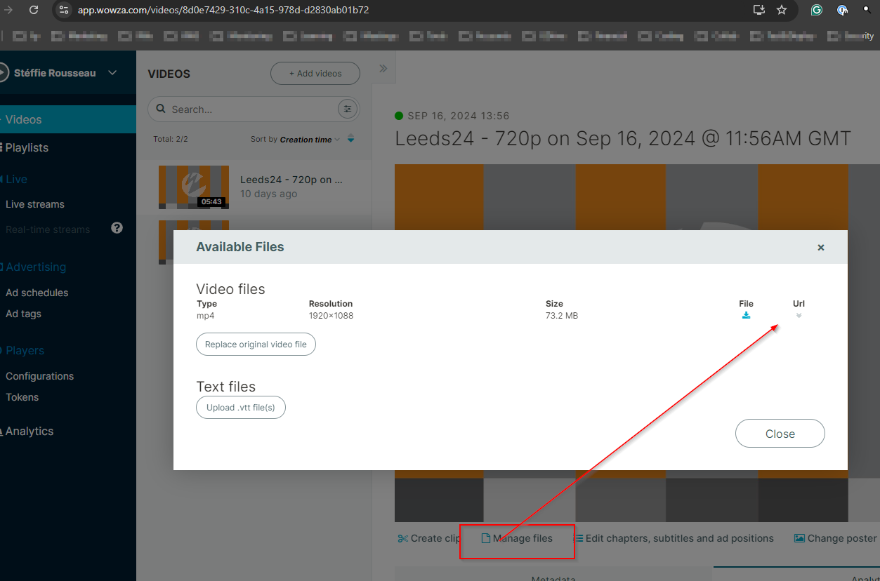 How to Download and Delete my Wowza Video 2.0 Assets